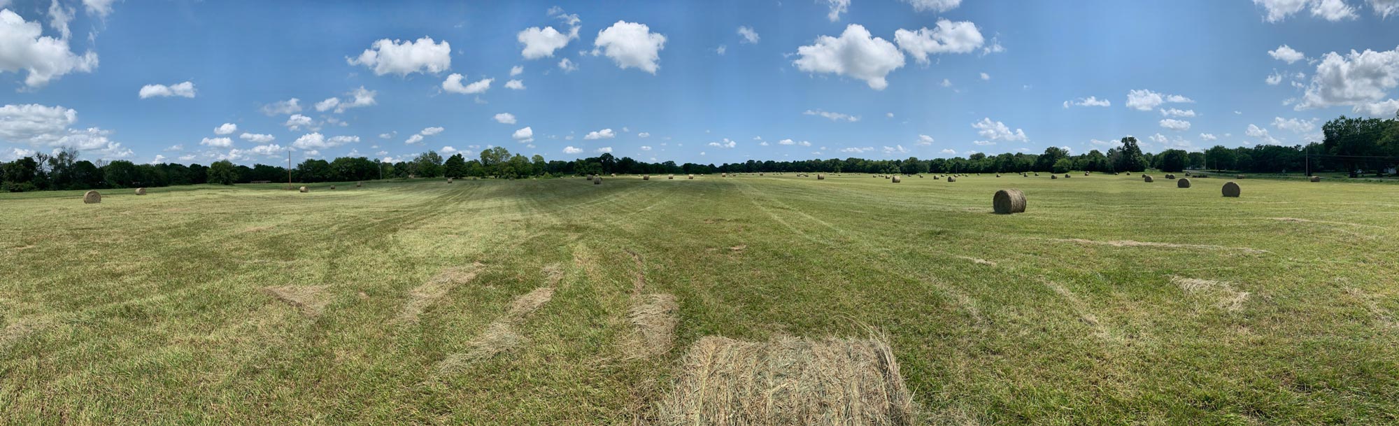 Our Story - The Fly Farm